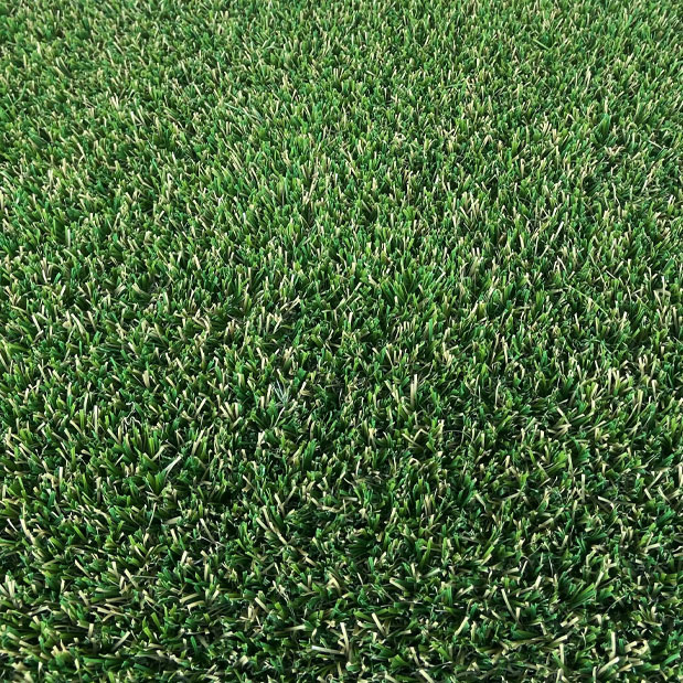 Natural 35mm - Viva Grass