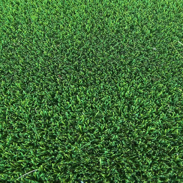 Summer 35mm - Viva Grass